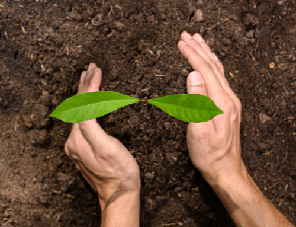 Teste de limpeza ATP - O que é e como medir? - Hygibras