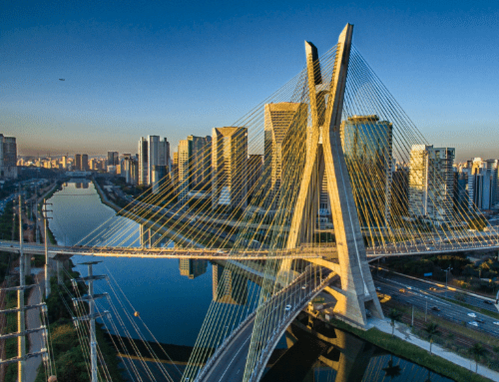 FSC: Por que esse selo é essencial para empresas? - Hygibras