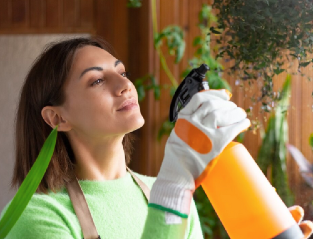 Como comprar produtos de limpeza profissionais para empresas? - Hygibras